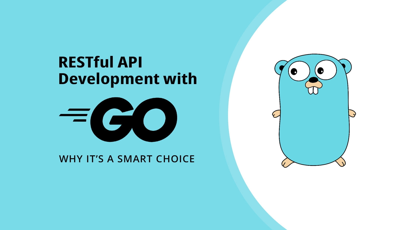 RESTful API Development with Go: Why It’s a Smart Choice – AVA®- An Orange Education Label